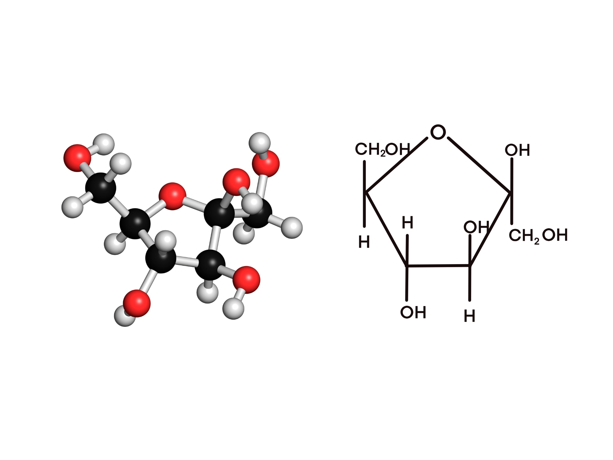 Fructose Molecule Diagram Structure Glucose Fructose Stock