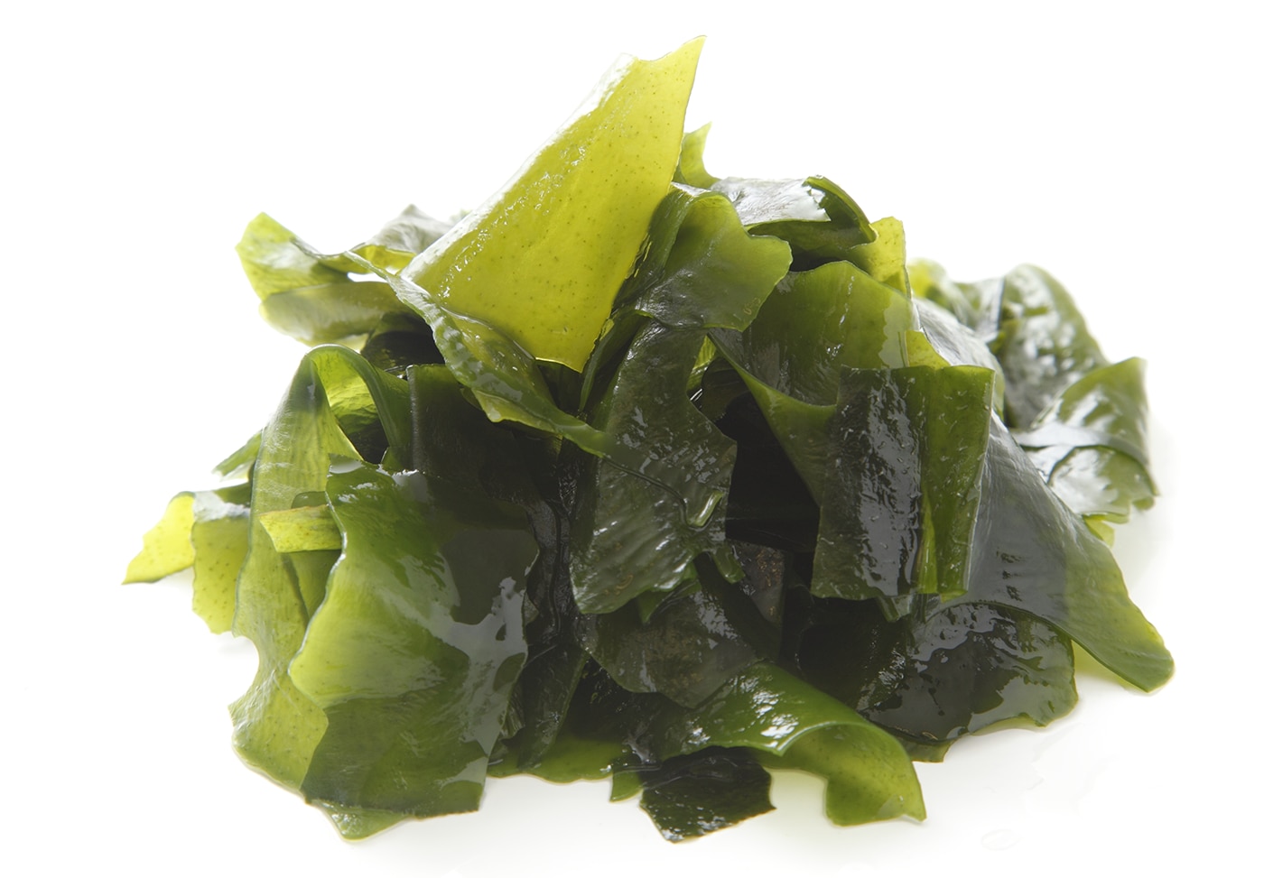 Wakamé | alimentarium