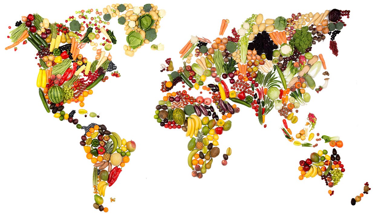 Where Do Foods Come From Stakemoms
