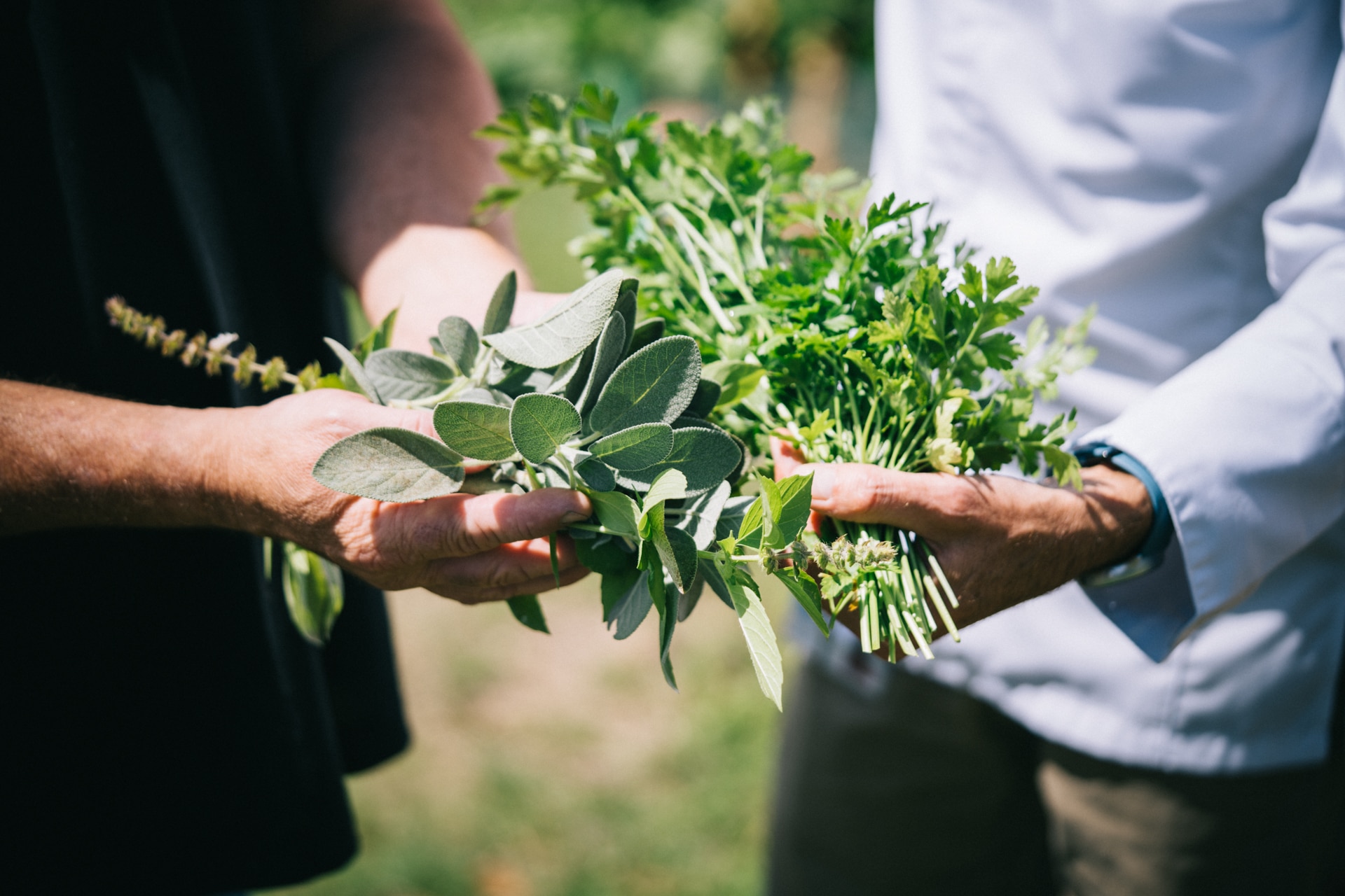 Taste Week is coming to the Alimentarium! | alimentarium