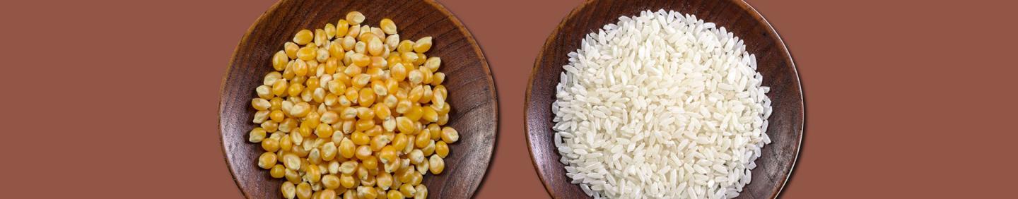 Cycle of common agricultural products (rice, corn) | alimentarium