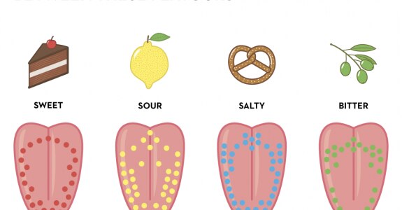 Food on the brain | alimentarium